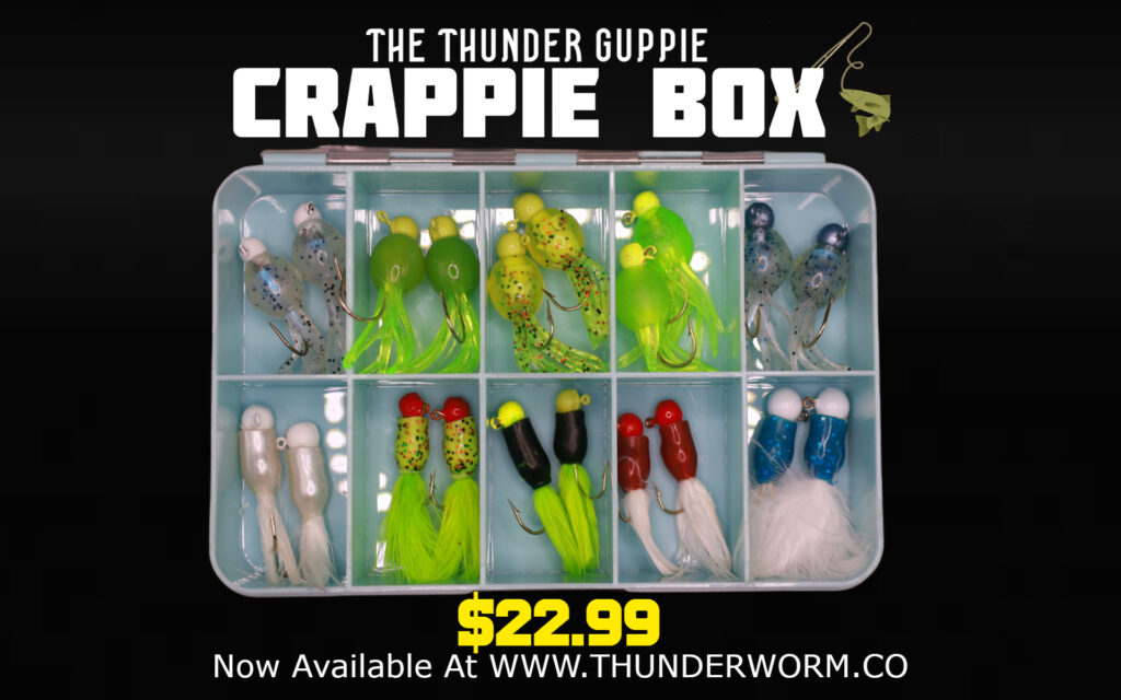 Home - Thunderworm Co.